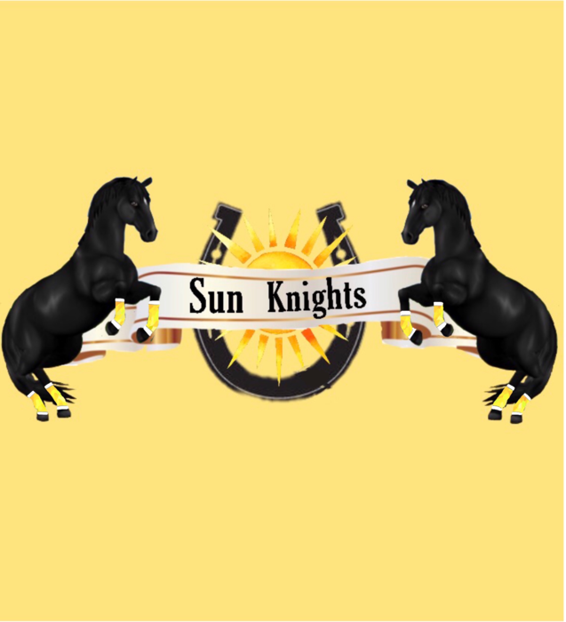 Regler :: Sun Knights